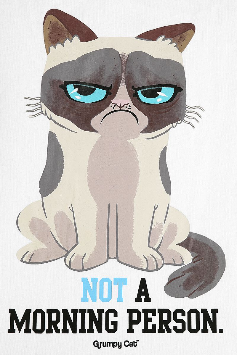 grumpy cat non