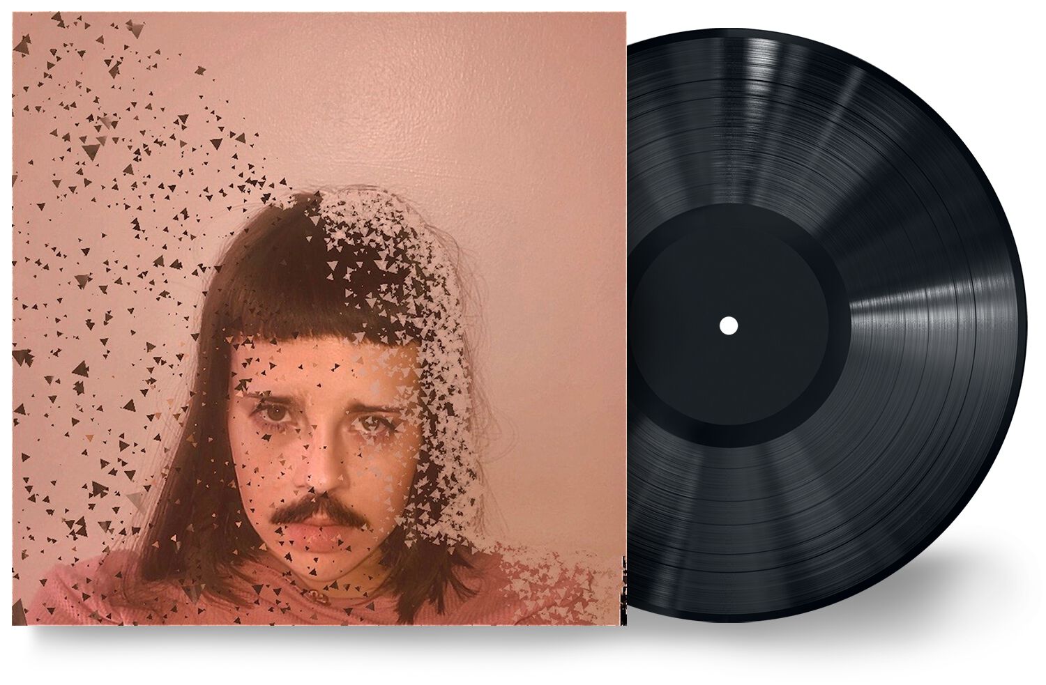 State of fear | Teri Gender Bender LP | EMP