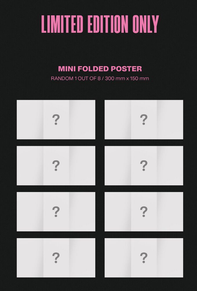 Maxident (Limited - GO ver.) | Stray Kids CD | EMP